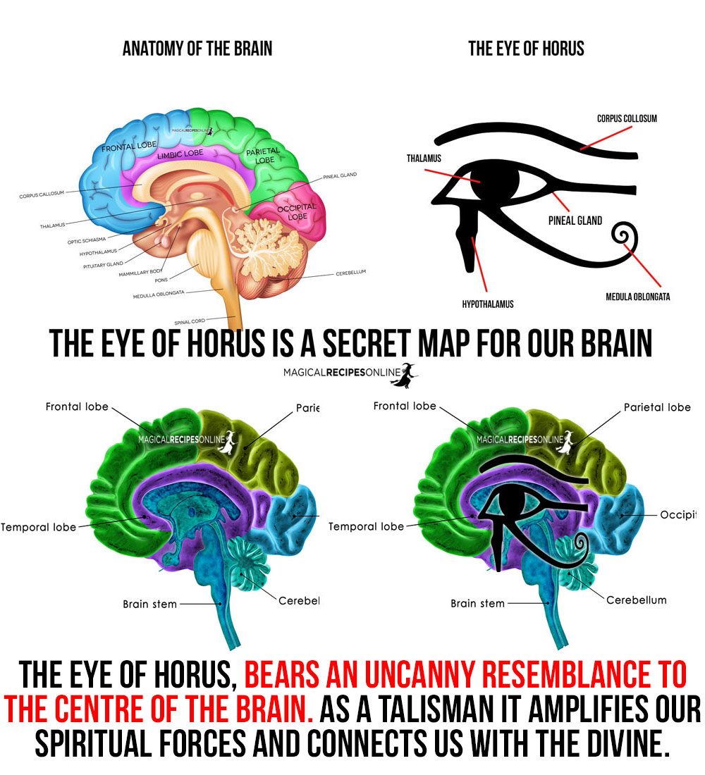 What's that Symbol? Eye of Horus - Eye of Ra, Wadjet - Magical Recipes ...