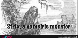 The Complete List of Totem Animals and their meanings - Magical Recipes ...