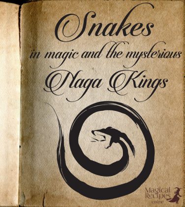Snake Magic and the Hindu Naga Kings - Magical Recipes Online
