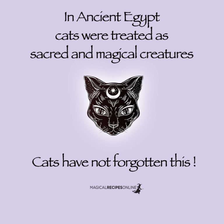 Cats Magic as familiars & totems - Magical Recipes Online
