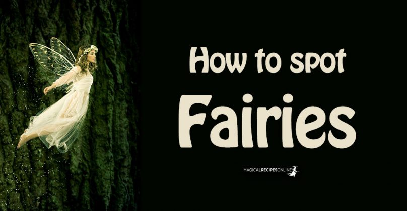 How to spot Fairies: 12 signs when Fairies are near you - Magical ...