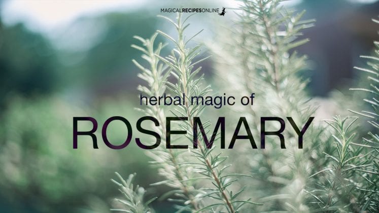 Herbal Magic of Rosemary - Magical Recipes Online