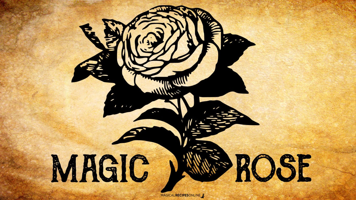 the Magic of Rose - Magical Recipes Online