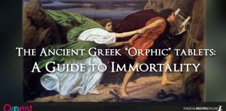 Creatures of Light and Dark: Kingdom of Salamanders - Magical Recipes ...