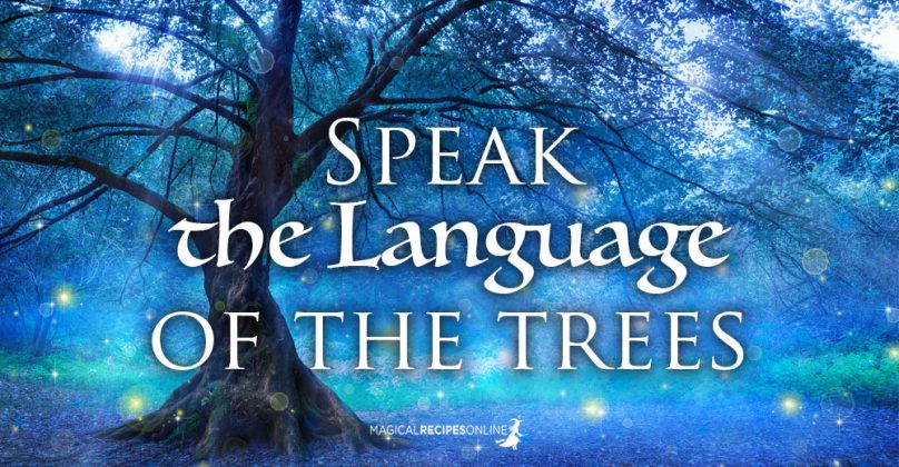 Speak the language of the Trees - Magical Recipes Online