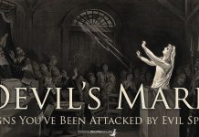 HERBAL MAGIC: 11 magical herbs and spices - Magical Recipes Online