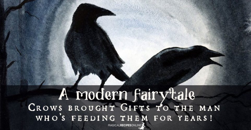 Crows brought Gifts to the man who's feeding them for years! - Magical ...