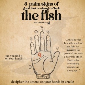 5 Palm Signs of Good Luck or Sudden Change of Luck - Magical Recipes Online