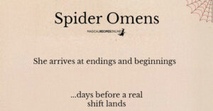 Why Spiders Keep Finding You: Spider Omens Most People Ignore - Magical ...